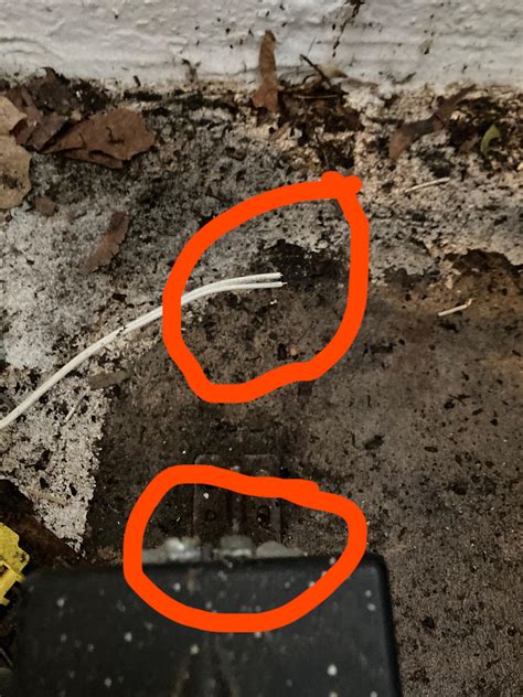 wire to my garage door motion sensor got snapped is it dangerous to