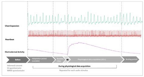 Acoustics Special Issue Humans Psychological And Physiological