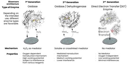 The Core Of Every Biosensor Is An Enzyme Directsens
