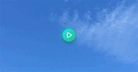 Birdexe Has Stopped Working Album On Imgur