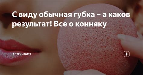 С виду обычная губка – а каков результат! Все о конняку🧽 | Аптеки Вита ...