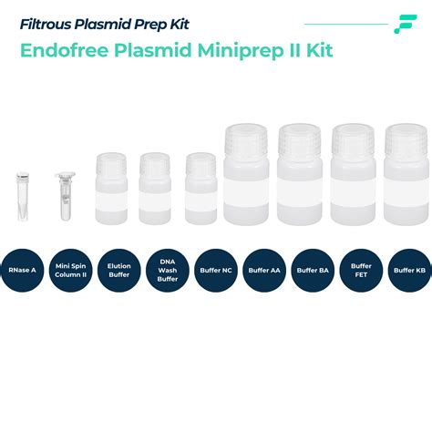 Endofree Filtrous Plasmid Miniprep Ii Kit Filtrous