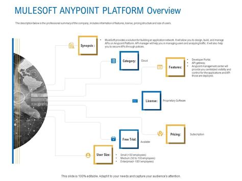 Digital Businesses Ecosystems Mulesoft Anypoint Platform Overview