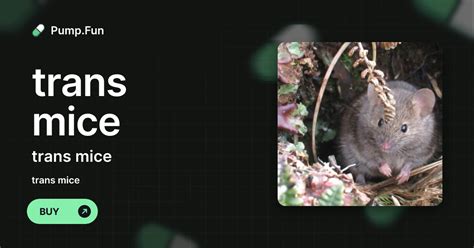 Trans Mice Trans Mice Pump
