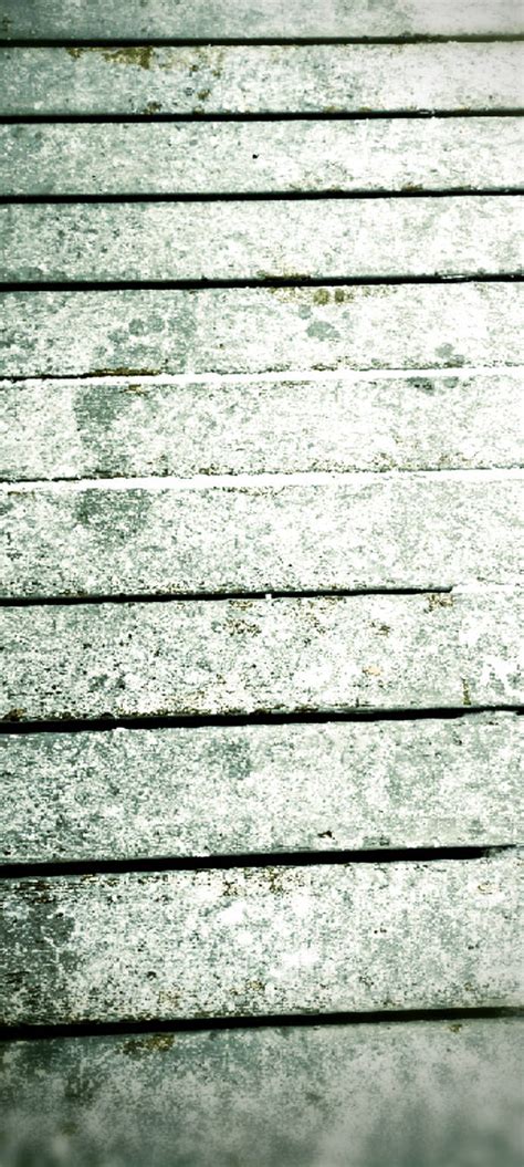 Werewolf Tracks By Juhizz On Deviantart