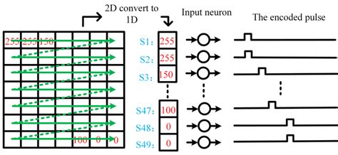 The Coding Form Of The Input Data Of Spiking Neural Networks Using Download Scientific Diagram