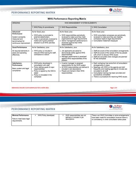 Performance Reporting Matrix Pdf Audit Risk Management