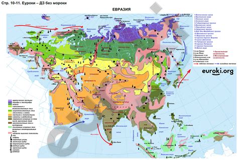 Евразия природные зоны 7 класс контурные карты | Shtampik.com