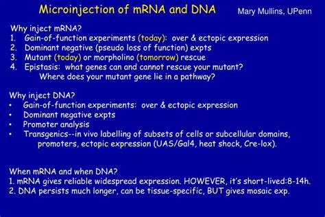 Ppt Microinjection Of Mrna And Dna Powerpoint Presentation Free