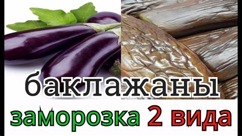 КАК ПРАВИЛЬНО ЗАМОРОЗИТЬ БАКЛАЖАНЫ НА ЗИМУ 2 ВИДА ЗАМОРОЗКИ - YouTube