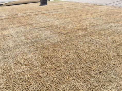 Classen Tr 20 Turf Rake Dethatcher Verticutter Lawn Care Forum