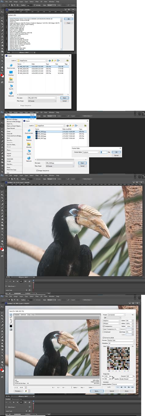 Importing Image Sequences No Longer Possible With Adobe Product Community 11832647