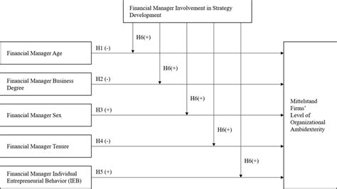 Conceptual Modelnote Financial Manager Sex Is A Dummy Variable