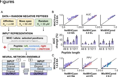 Figure 1 From A Model Of Antigen Processing Improves Prediction Of Mhc I Presented Peptides