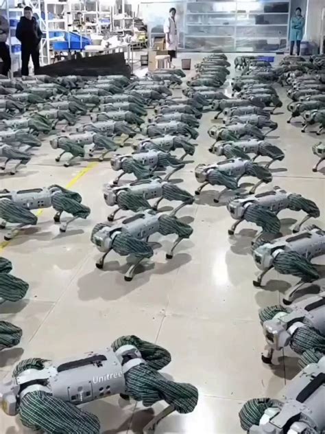 Robotics Testing Facility Not At All Terrifying Raboringdystopia