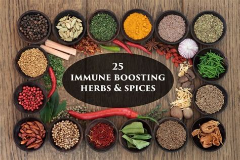 25 Immune Boosting Herbs And Spices