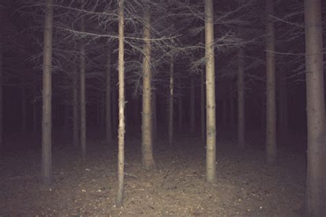 Late Night Imgur I Present You El Asesino  On Imgur