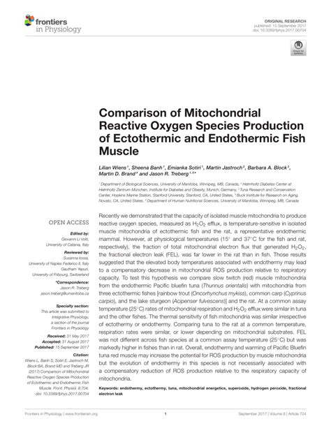 Pdf Comparison Of Mitochondrial Reactive Oxygen Species Production Of