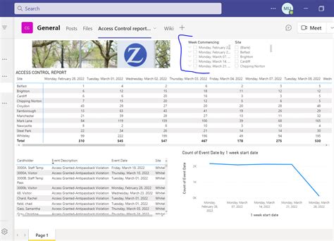 Slicer Output Is Different On The Desktop App Comp Microsoft