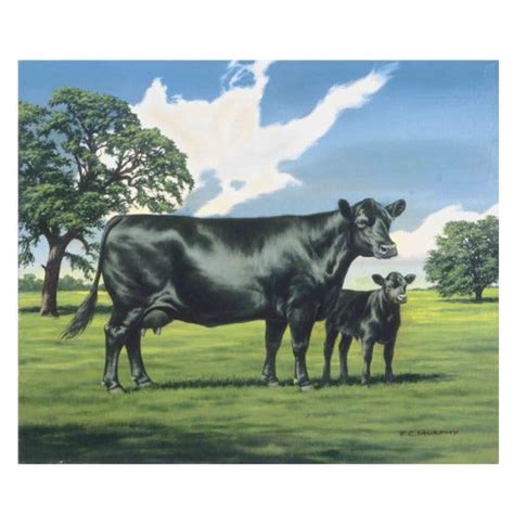 Frank Murphy Posters Multiple Variants Angus Supply Store