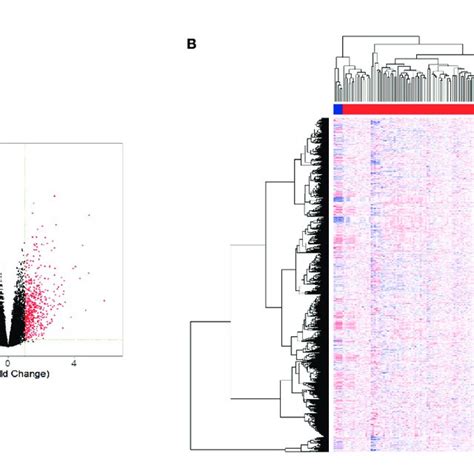 Volcano And Heat Maps Of Differential Gene Expression A Volcano Download Scientific