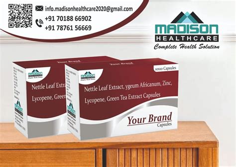 Nettle Leaf Capsule At Rs 220kg Nettle Leaf In Baddi Id 2854461747812