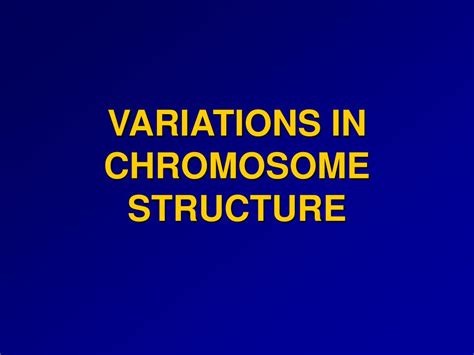 Ppt Chromosomal Mutations Powerpoint Presentation Free Download Id