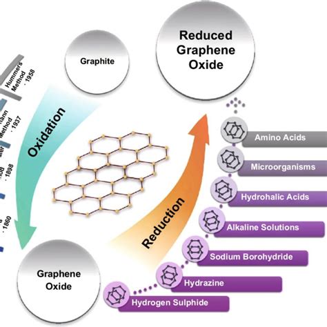 Schematic Representation Of Some Of The Introduced Go And Rgo