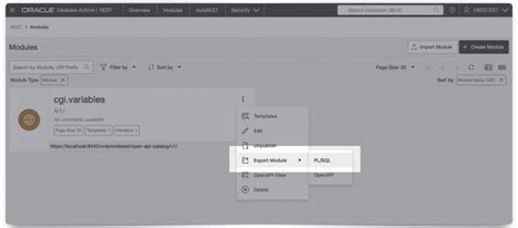 an ords get request to retrieve cgi environment variables from the print cgi env pl sql
