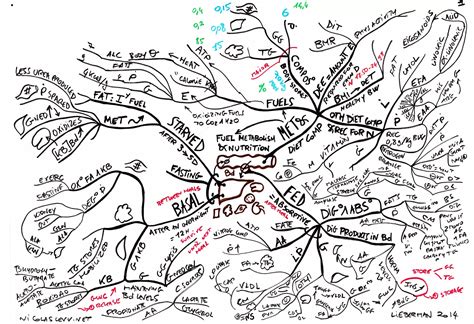 Mind Maps Biochemistry Fuel Metabolism And Nutrition Pdf