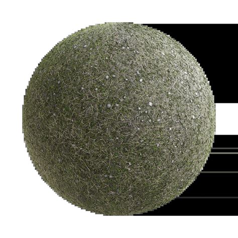 Grass Ground Pbr Texture