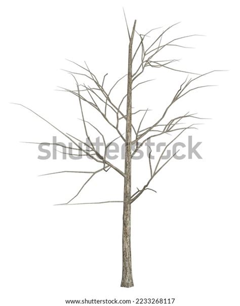 3d Render Tree Trunk Without Leaves Stock Illustration 2233268117
