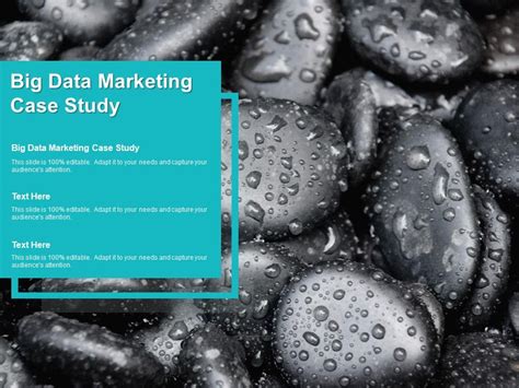 Big Data Marketing Case Study Ppt Powerpoint Presentation Portfolio Graphics Cpb PowerPoint
