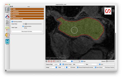 Segmentation Tool Shapeworks