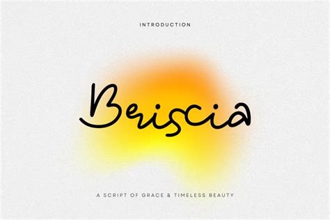 Briscia A Graceful And Timeless Script Font