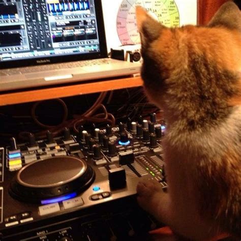 Stream Javier Inga Ramirez Music Listen To Songs Albums Playlists For Free On Soundcloud