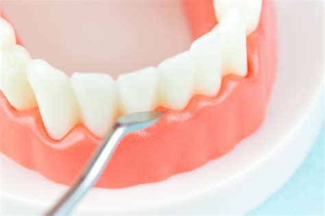 Premium Photo False Teeth Artificial Jaw On Blue Background Closeup Dentoform Dental Teeth