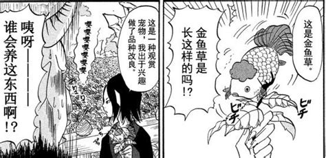 《鬼灯》里 金鱼草”的原型，竟然更加诡异？ 知乎