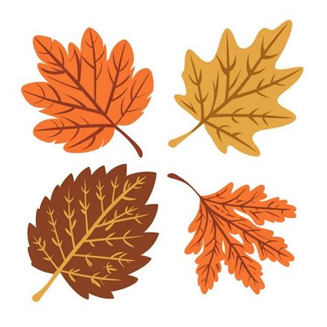 Beech Leaves Vector Illustration Premium Ai Generated Vector