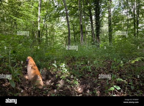 How Much Force Is In A Tank Shell Explosion Jopolynx