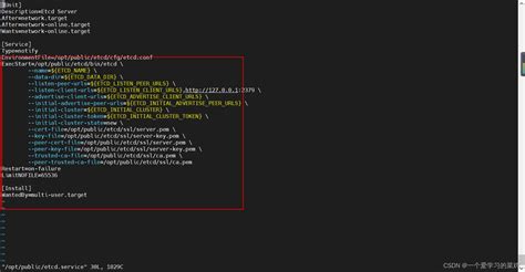 Etcd集群启动报错：conflicting Environment Variable Etcdname Is Shadowed By