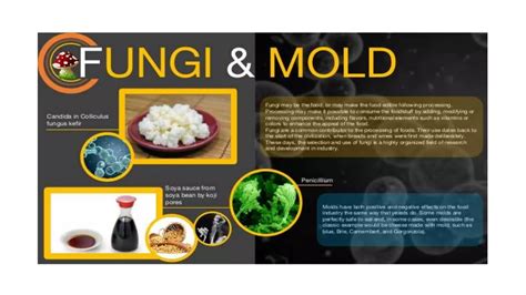 Role Of Microoganisms In Fermentation Pptx