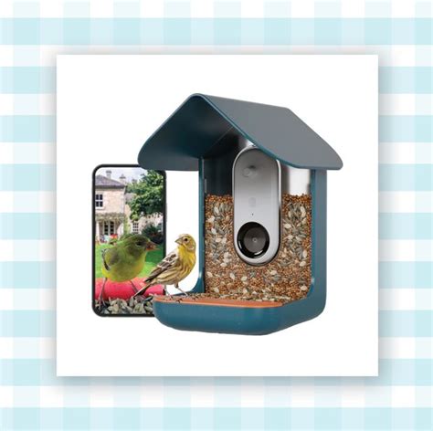 7 best bird feeder cameras of 2024 for high tech birdwatching