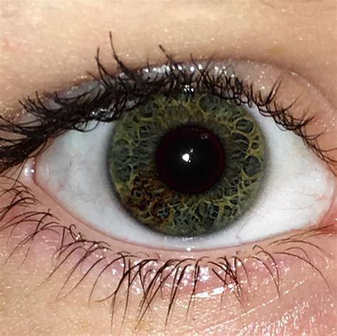 What Color Is Hazel In Eyes At Rory Barbour Blog
