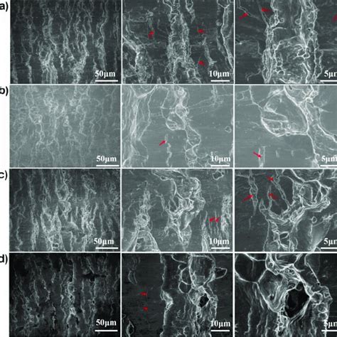 Peeling Surface Morphology On The Titanium Side A Specimen B2 B