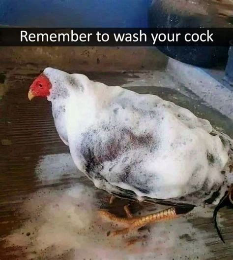 джойреактор Pictures Memes And Posts On Joyreactor