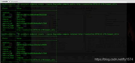 五 openstack m版 双节点搭建 nova安装和配置 设置openstack服务开机启动 csdn博客