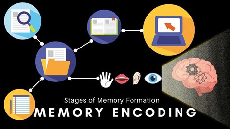 Memory Encoding Storage Retrieval