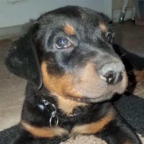 Stuart Warner Youtube