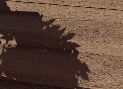 High Shadow Filtering Quality Gives Pixelated Shadows Unity Engine